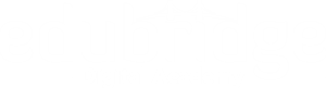 Our Courses – Edubridge Digital Academy
